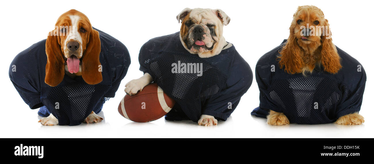 football team Stock Photo - Alamy