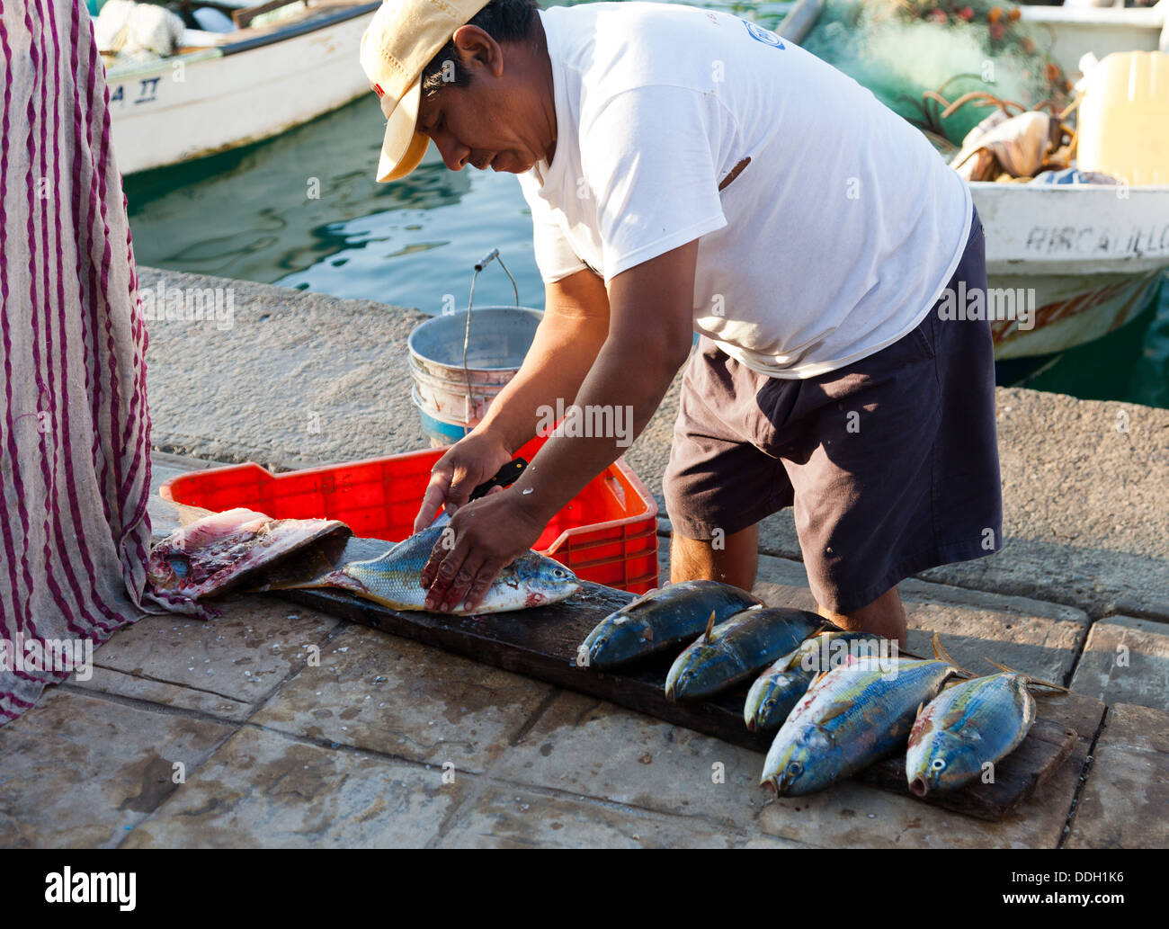Market huatulco gutting fish hi-res stock photography and images - Alamy