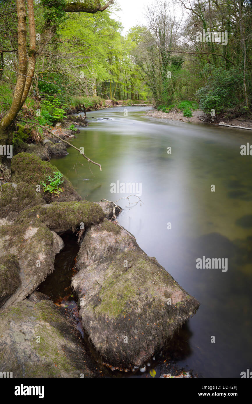 River fowey hi-res stock photography and images - Alamy