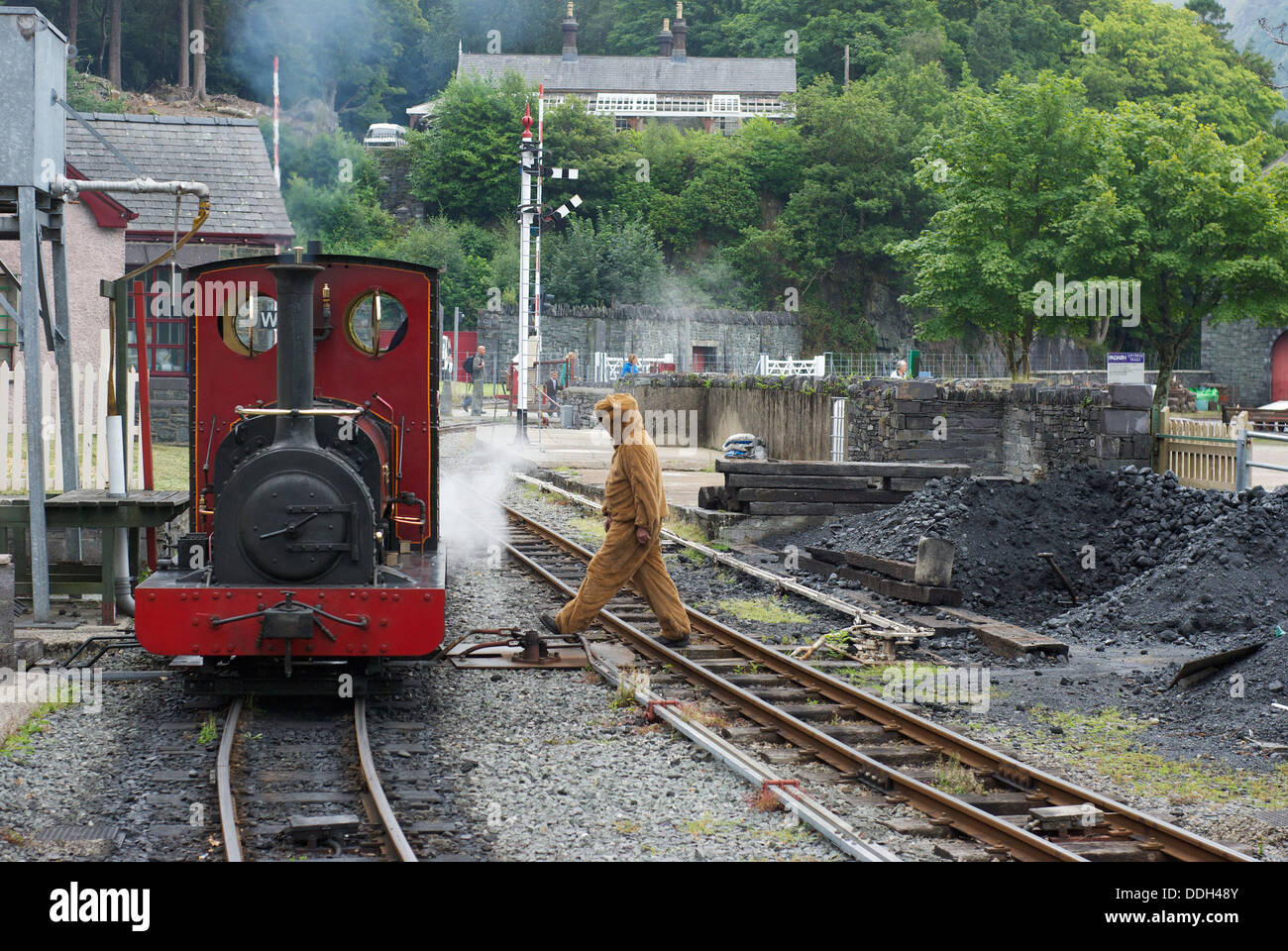 Bear locomotive hi-res stock photography and images - Alamy