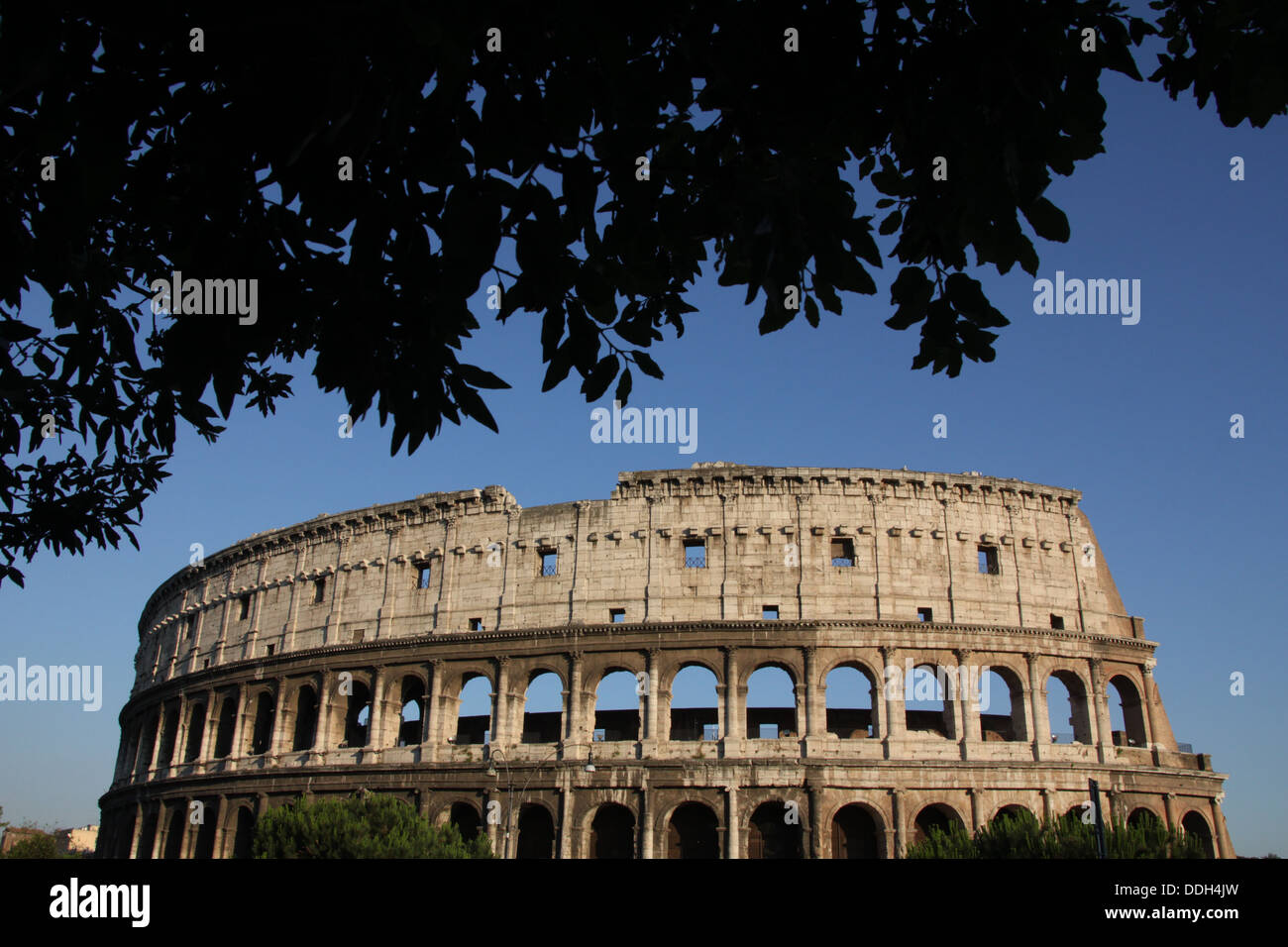 the colosseum in rome italy Stock Photo - Alamy