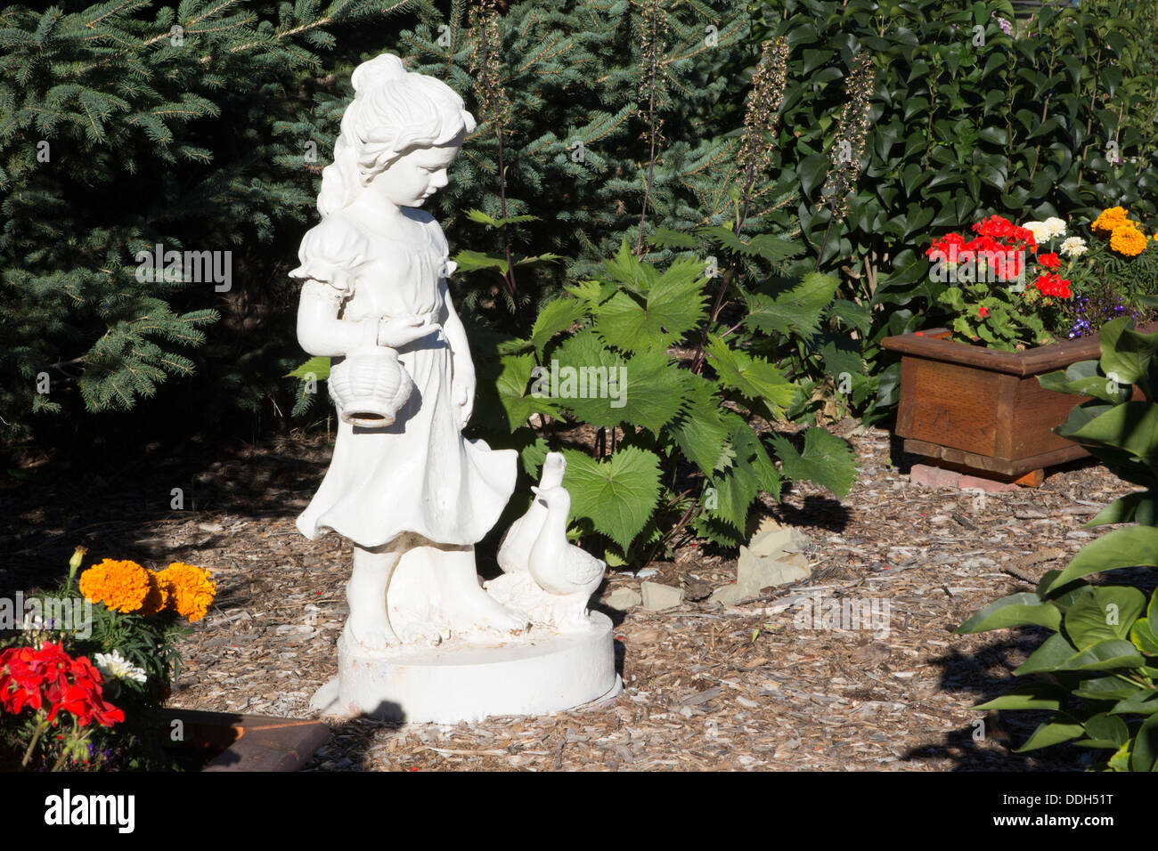 Botanical Gardens of Silver Springs Stock Photo - Alamy