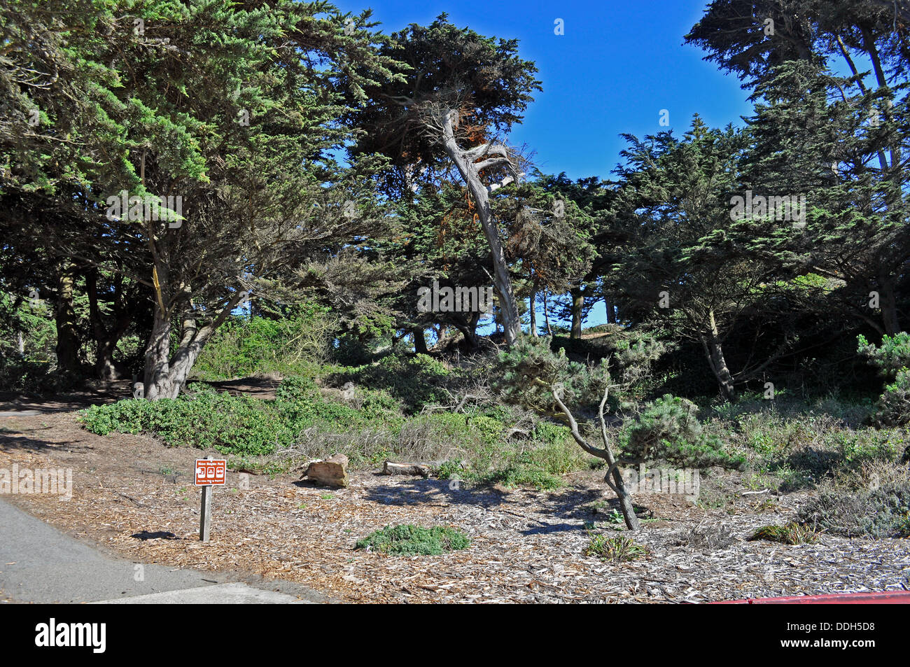 Sutro Heights Park, San Francisco California, USA Stock Photo - Alamy