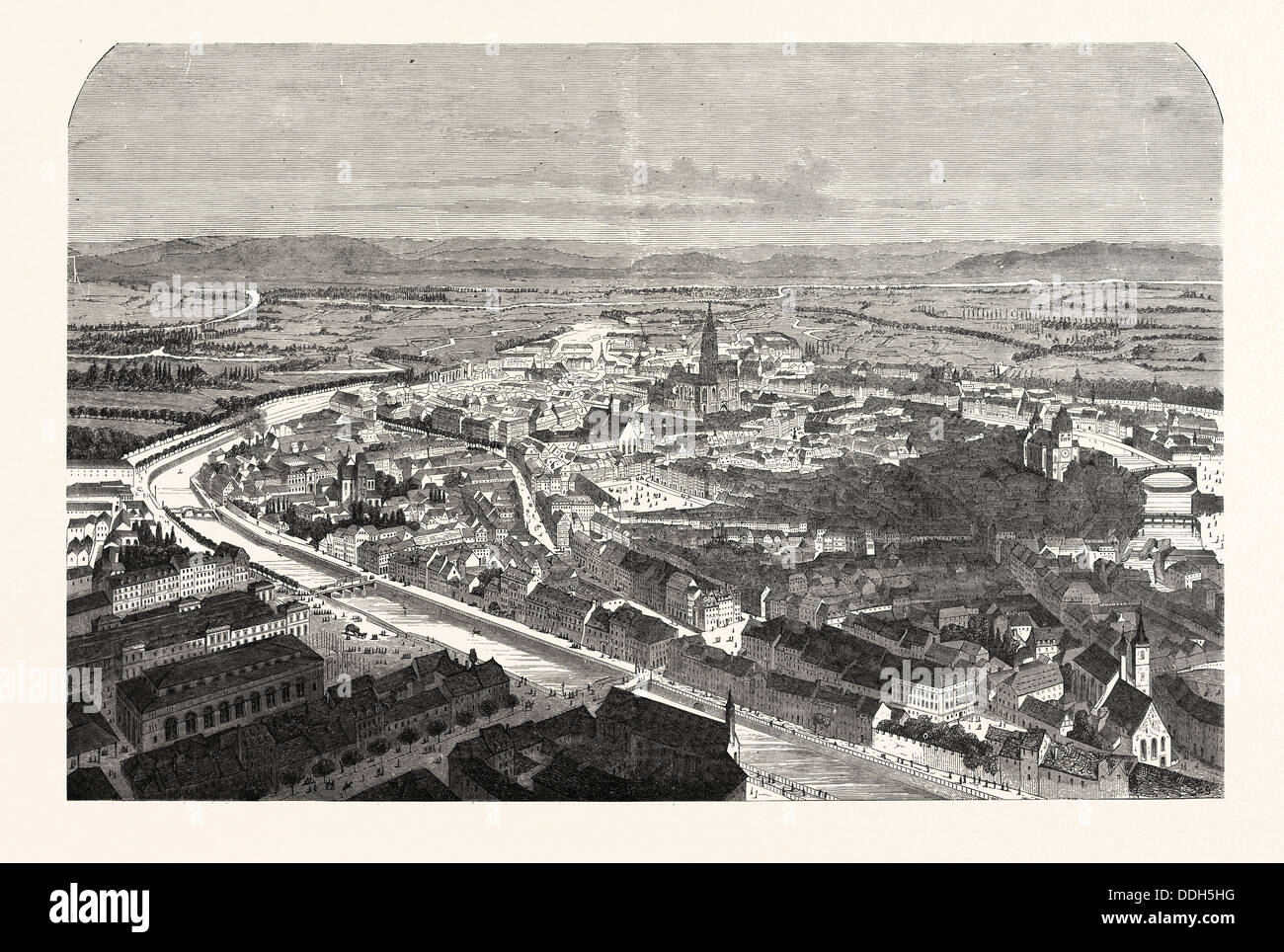 War of the birds hi-res stock photography and images - Alamy