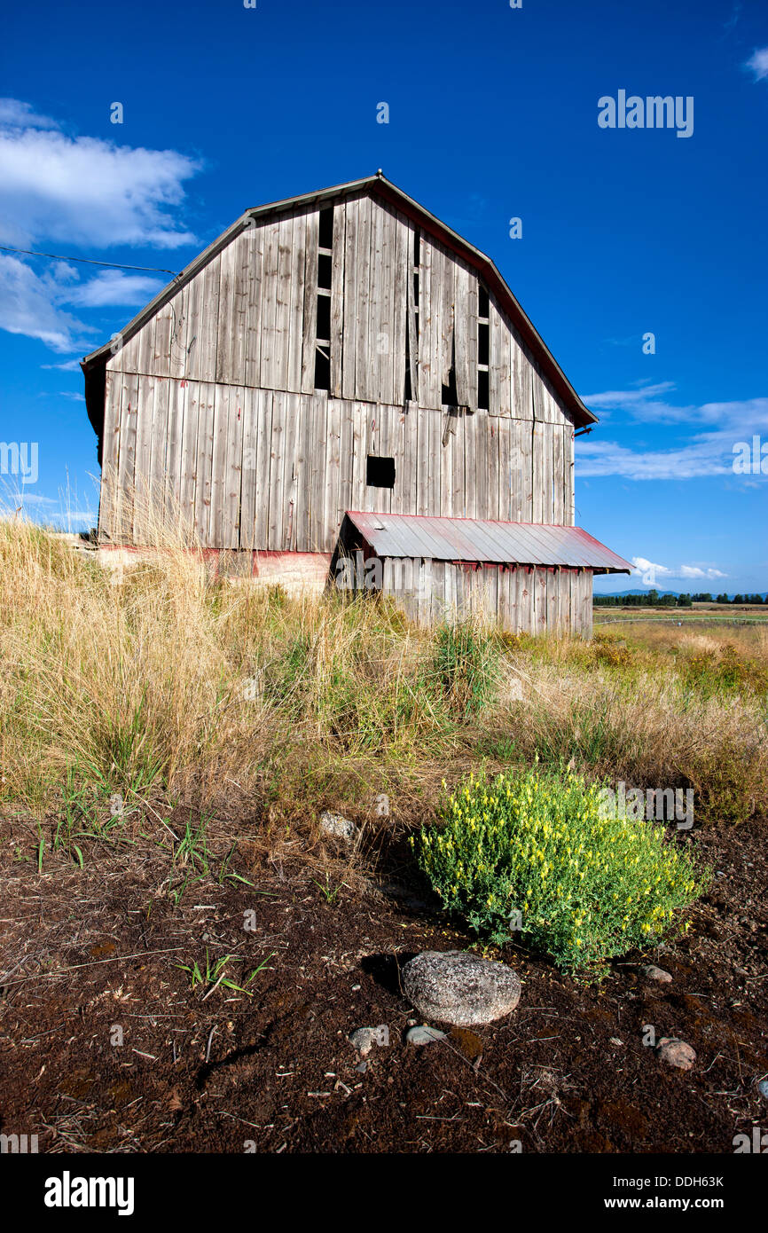 Old Idaho Barn Stock Photo - Alamy