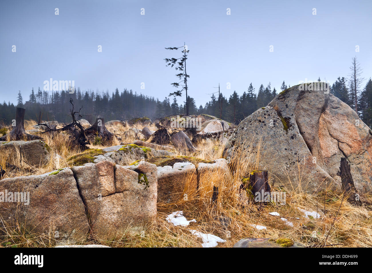 big stones in Harz mountains Stock Photo - Alamy