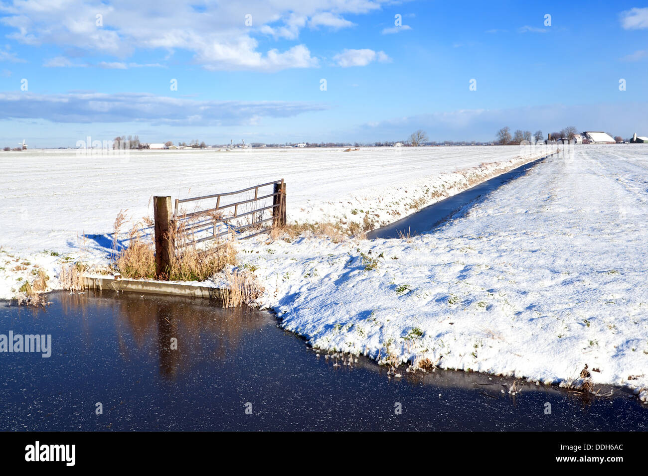 Dutch farmland in winter Stock Photo - Alamy