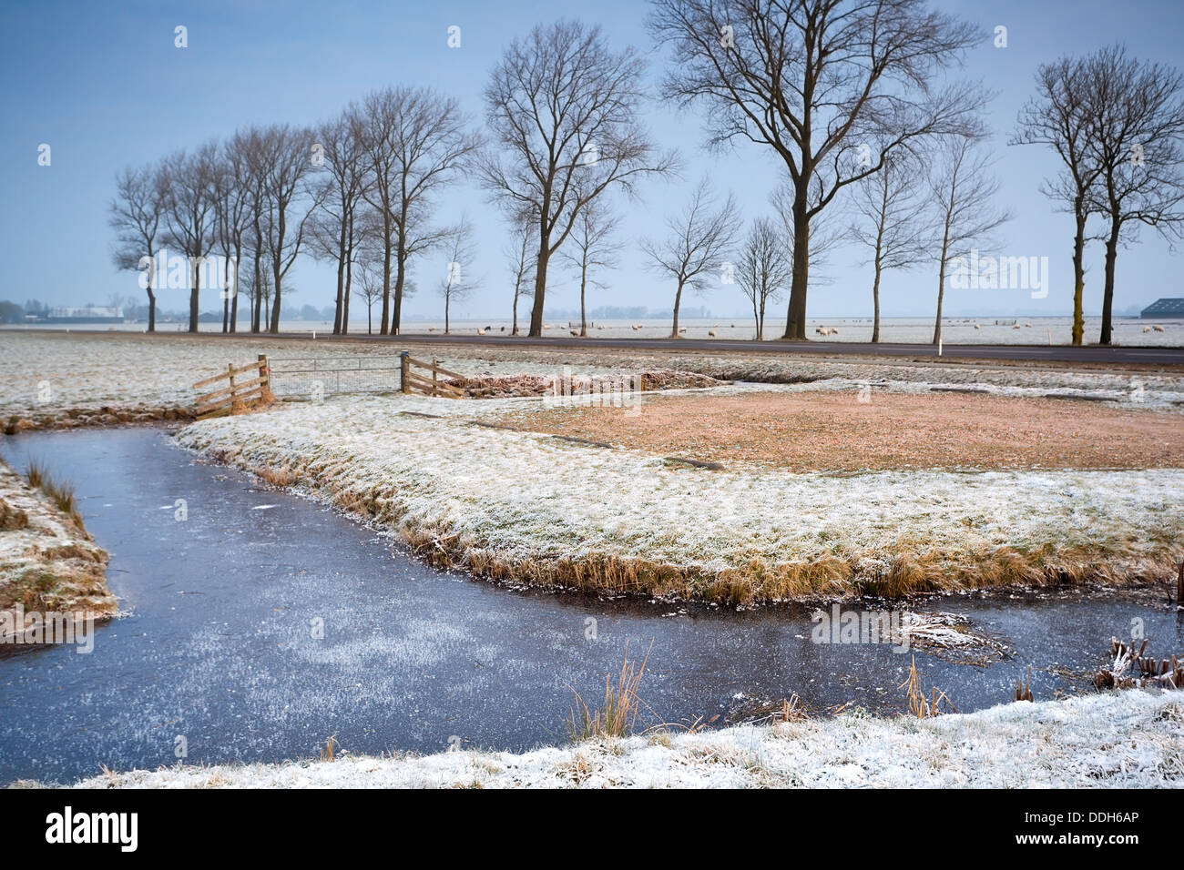 Frozen canal in dutch hi-res stock photography and images - Alamy