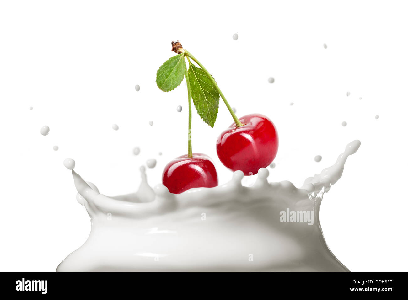 Milk splash isolated on white Stock Photo - Alamy