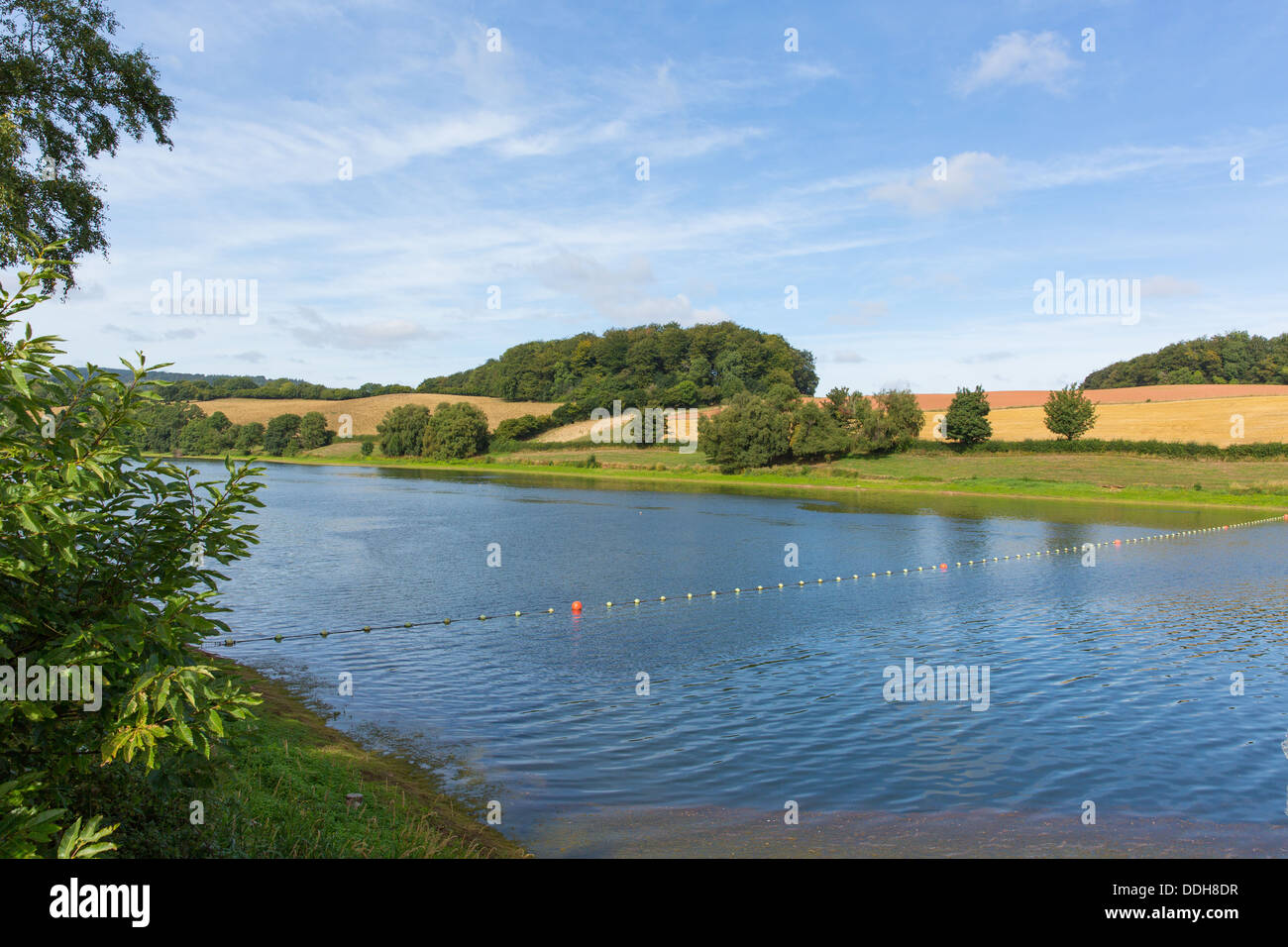 Hawkridge reservoir Quantock Hills Somerset with blue sky known for ...