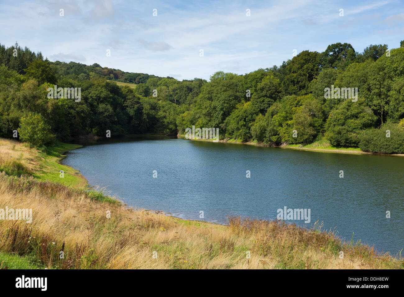 Hawkridge reservoir Quantock Hills Somerset with blue sky known for ...