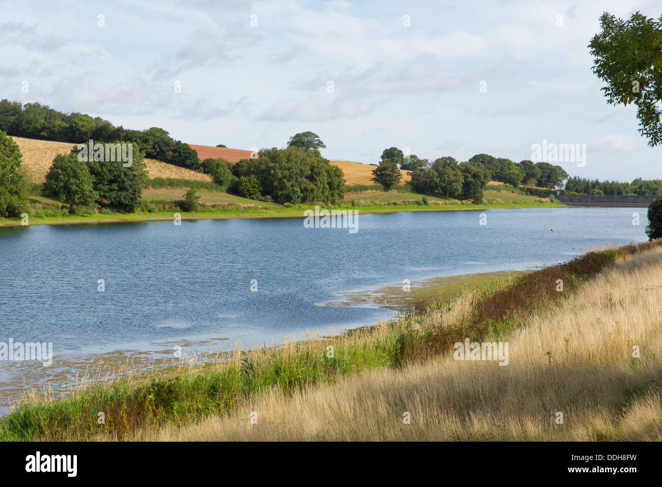 Hawkridge reservoir Quantock Hills Somerset with blue sky known for ...