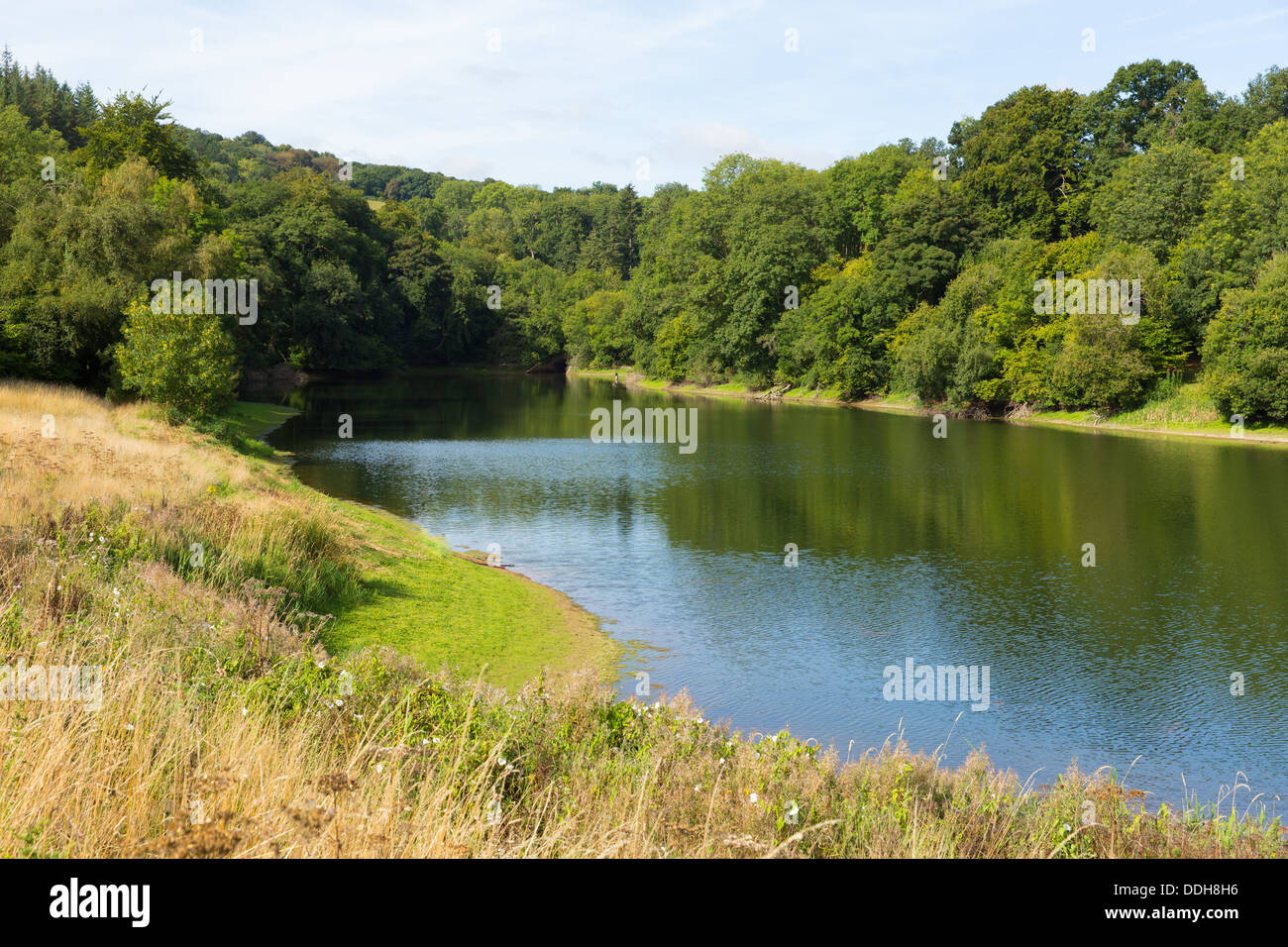Hawkridge reservoir Quantock Hills Somerset with blue sky known for ...