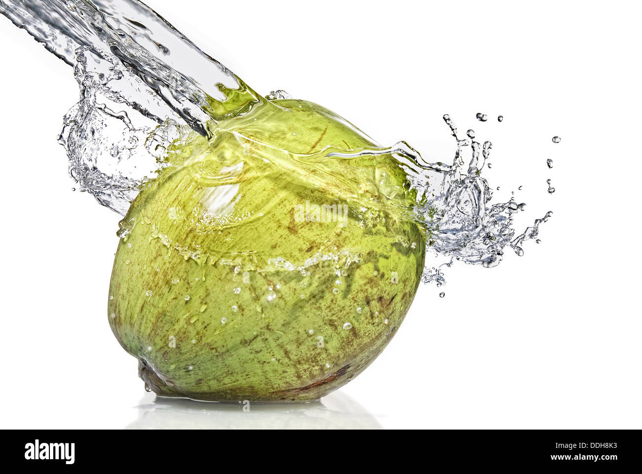 fresh water splash on coconut isolated on white Stock Photo - Alamy