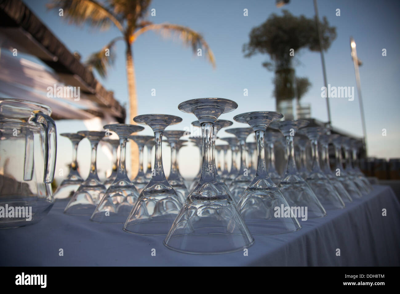 Glass upside down cloth coconut tree party bar bartender drink drinks ...