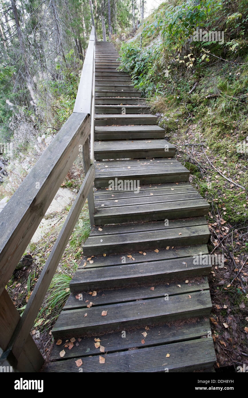 Wooden steps hi-res stock photography and images - Alamy
