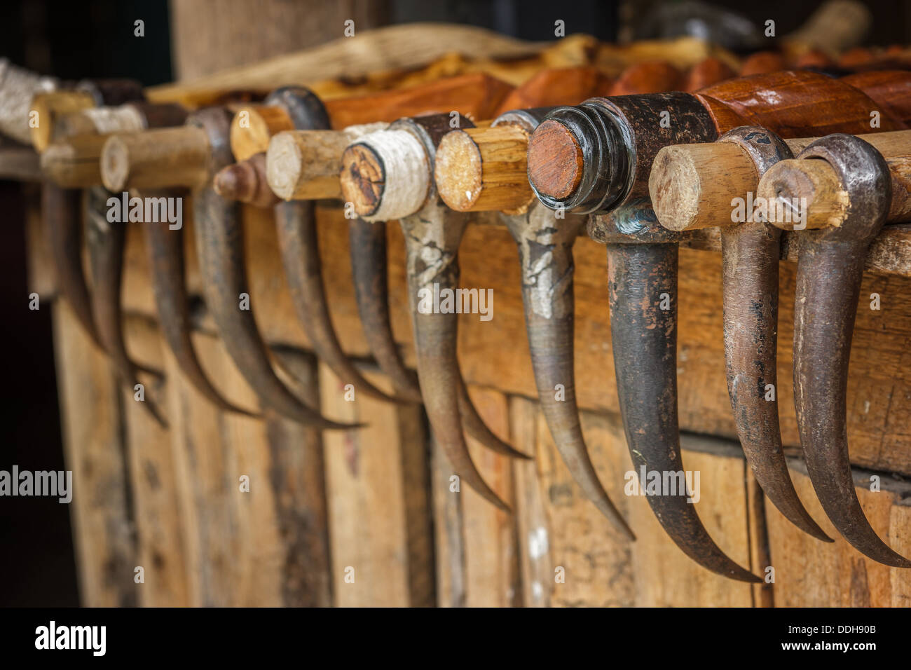 a group of elephant hook Stock Photo - Alamy