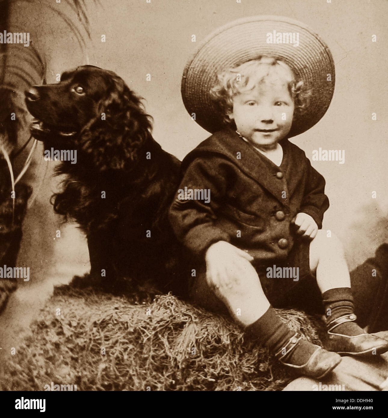 Boy and his dog studio portrait early 1900s Stock Photo - Alamy