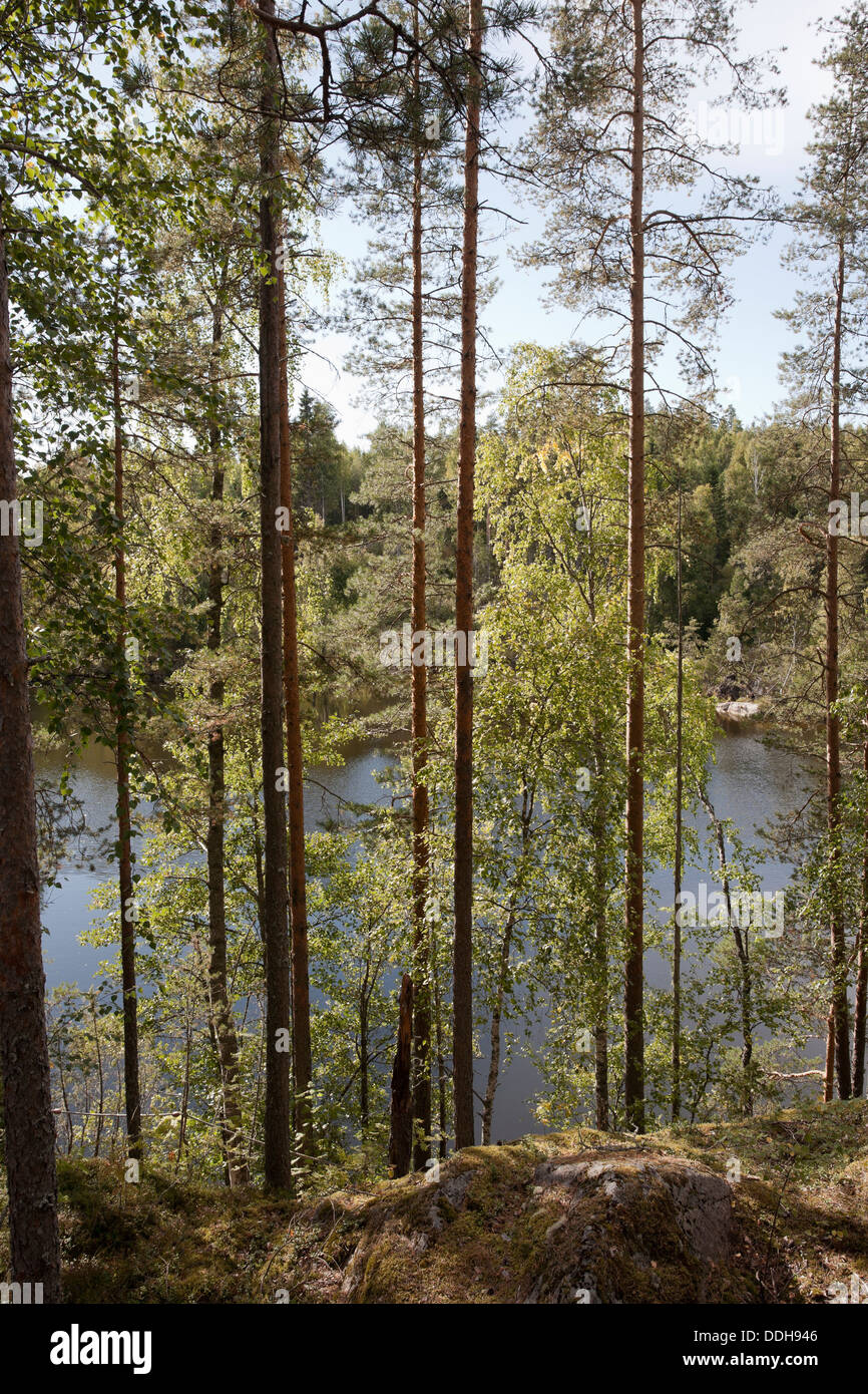 Trees by a lake, Finland Europe Stock Photo - Alamy