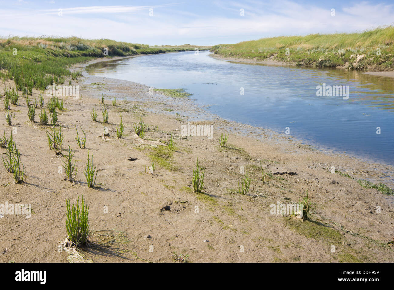 Tidal flow river hi-res stock photography and images - Alamy