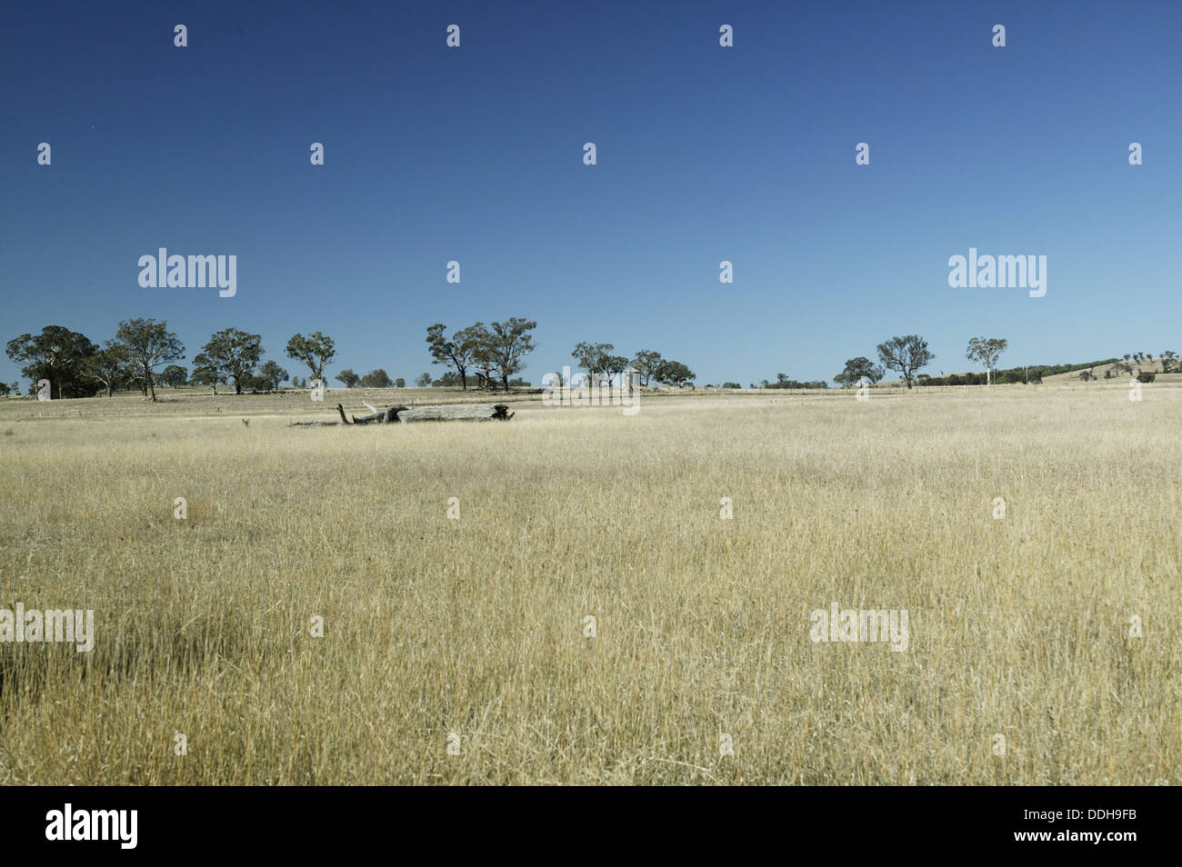 Typical australian hi-res stock photography and images - Alamy