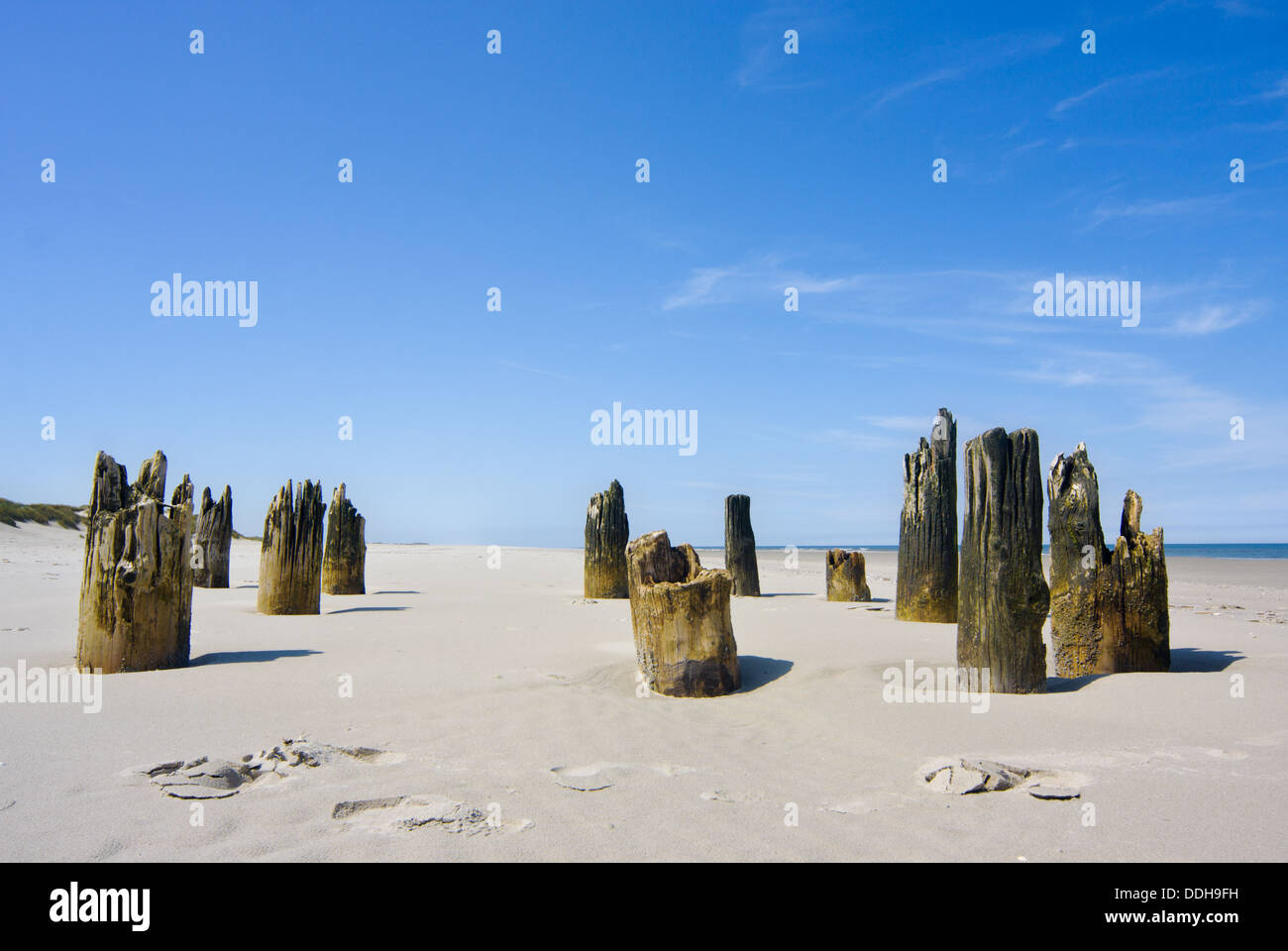 Rotten, weathered poles in the sand of a beach, remainders of an old ...