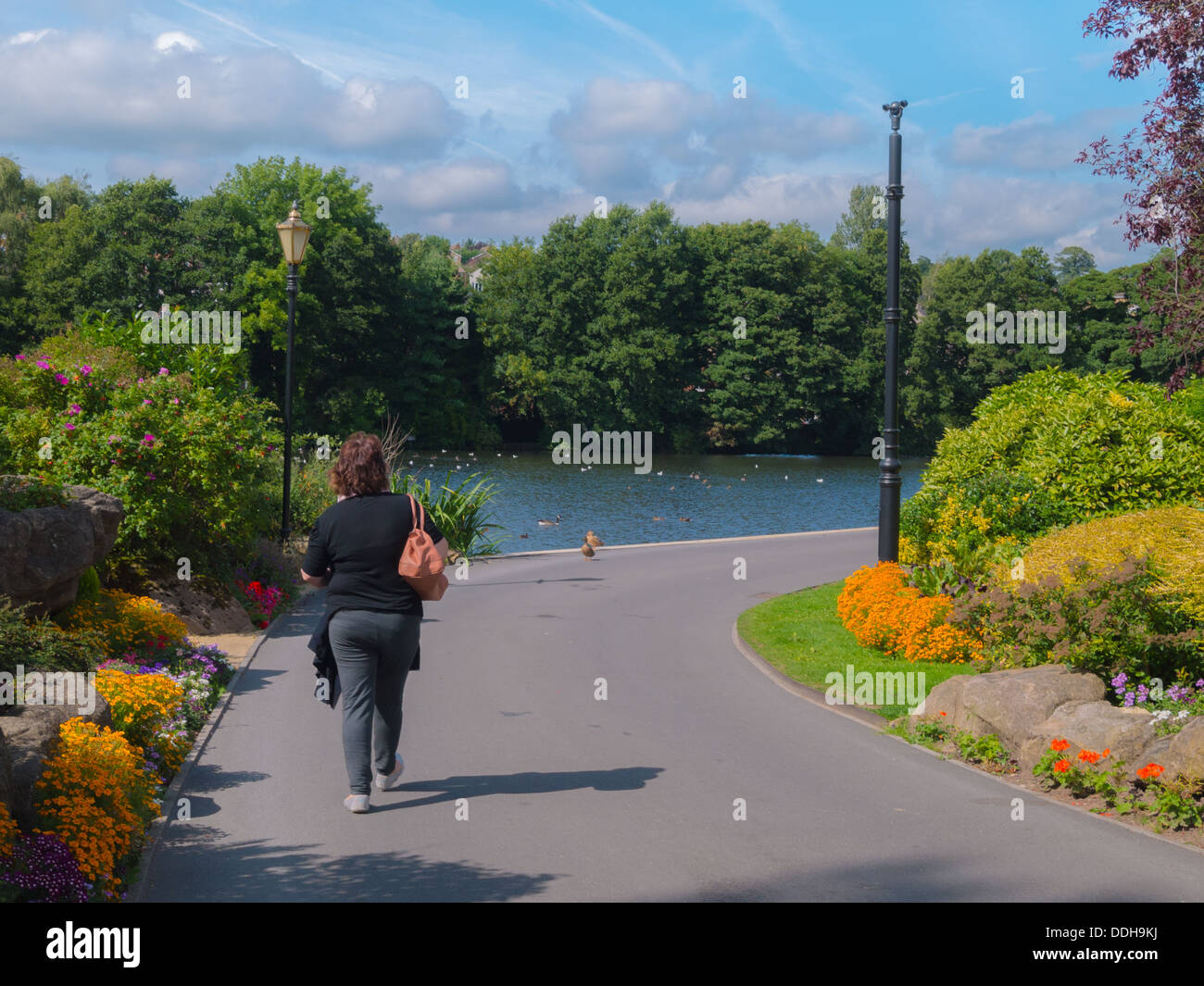 Belper river gardens hi-res stock photography and images - Alamy