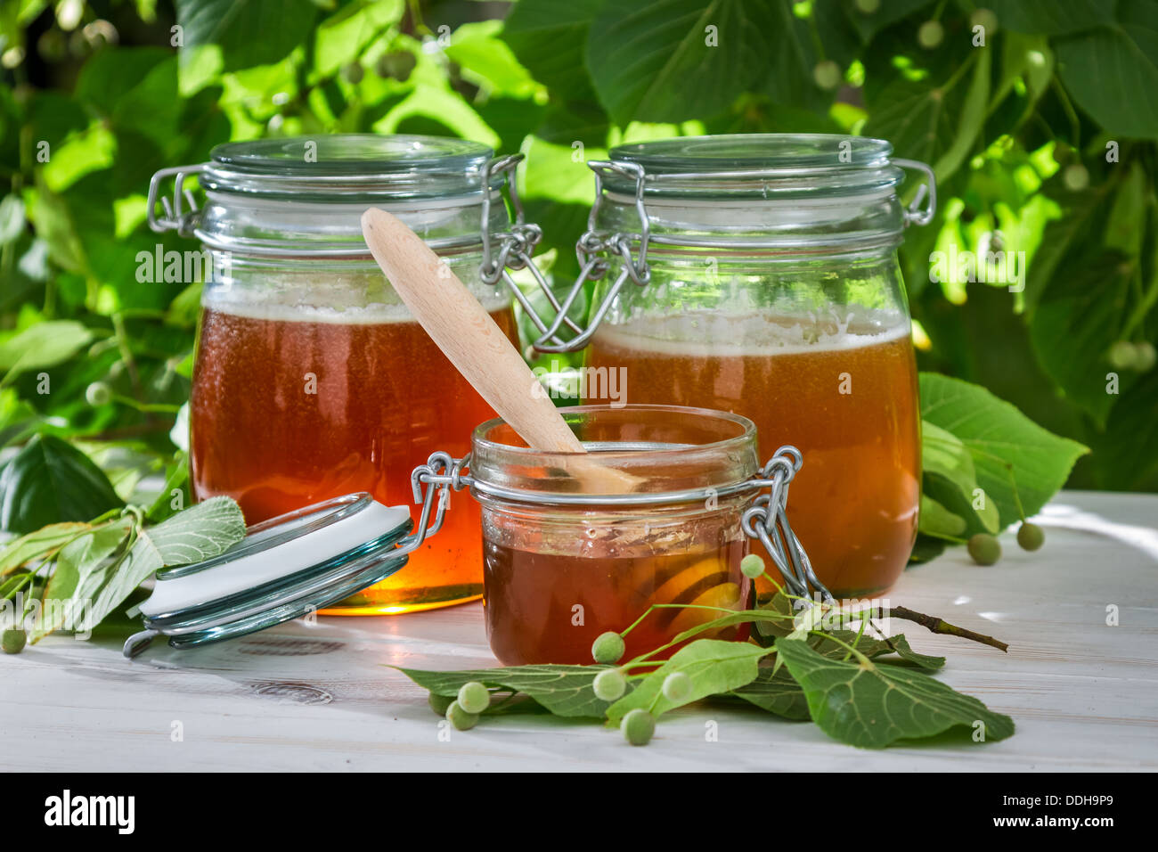 Honey in a jar and linden trees Stock Photo - Alamy