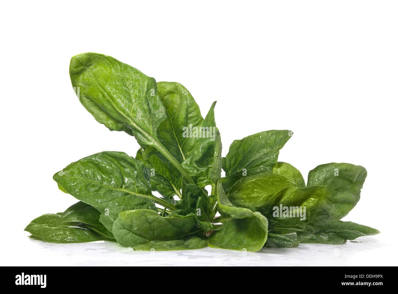 green spinach isolated on white Stock Photo - Alamy
