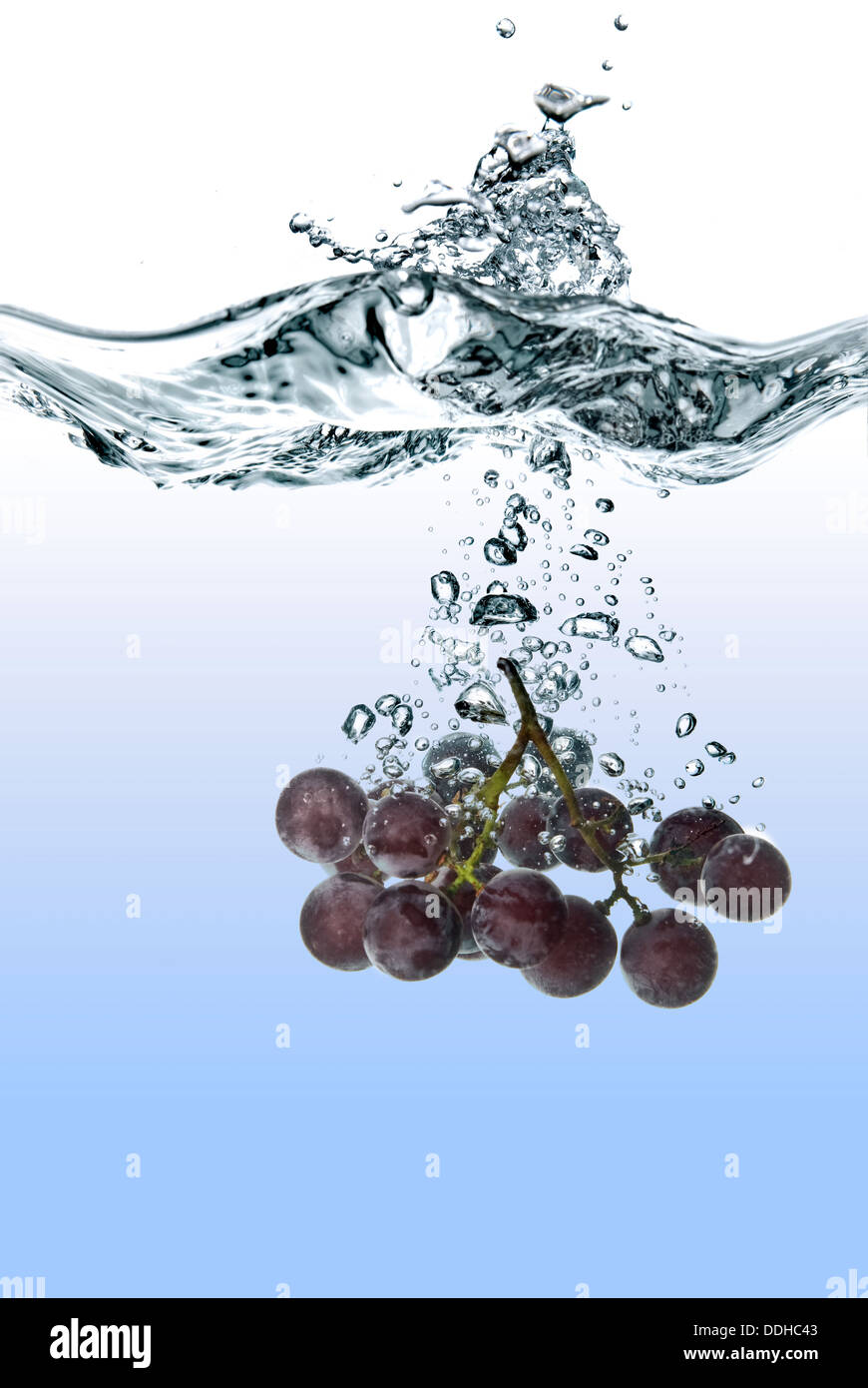blue grape dropped into water with splash isolated on white Stock Photo ...