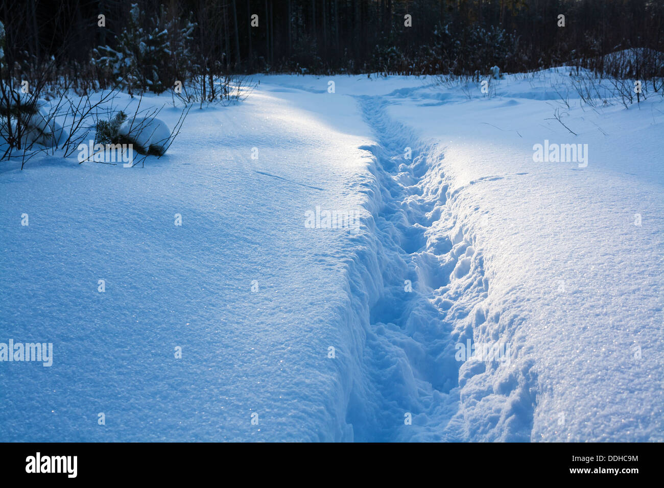 Walking trace hi-res stock photography and images - Alamy