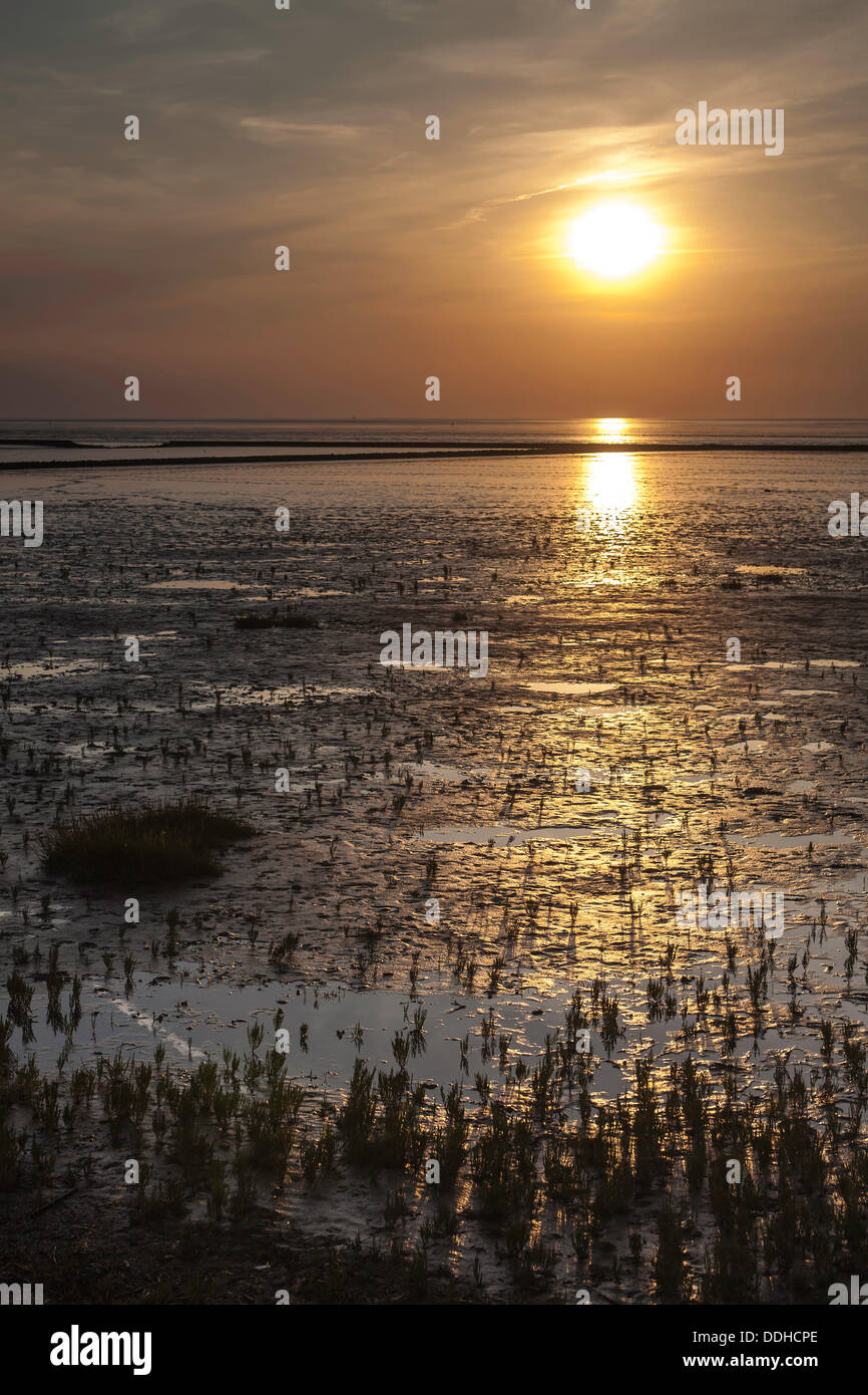sunset in tidal flats Stock Photo - Alamy