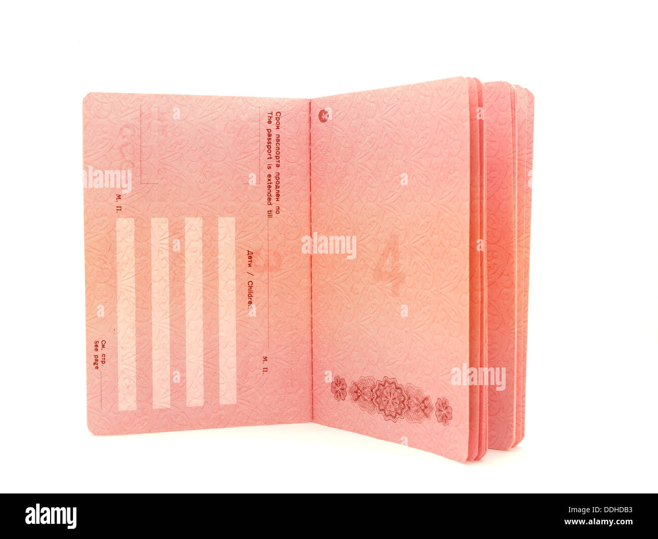 The opened passport on a white background Stock Photo - Alamy