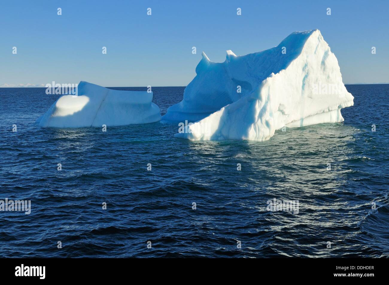 Devon davis hi-res stock photography and images - Alamy