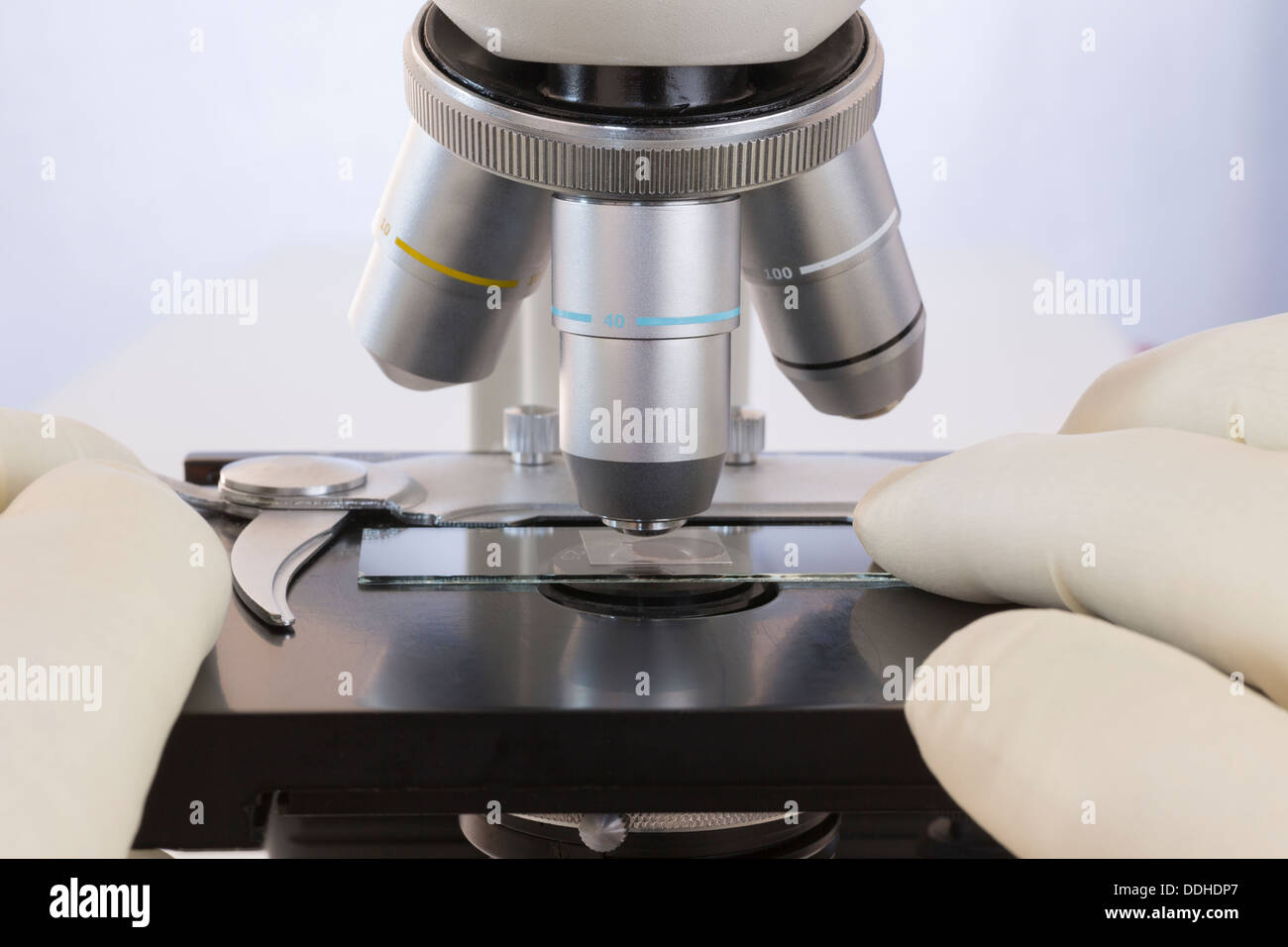 Microscope slide on hand hi-res stock photography and images - Alamy