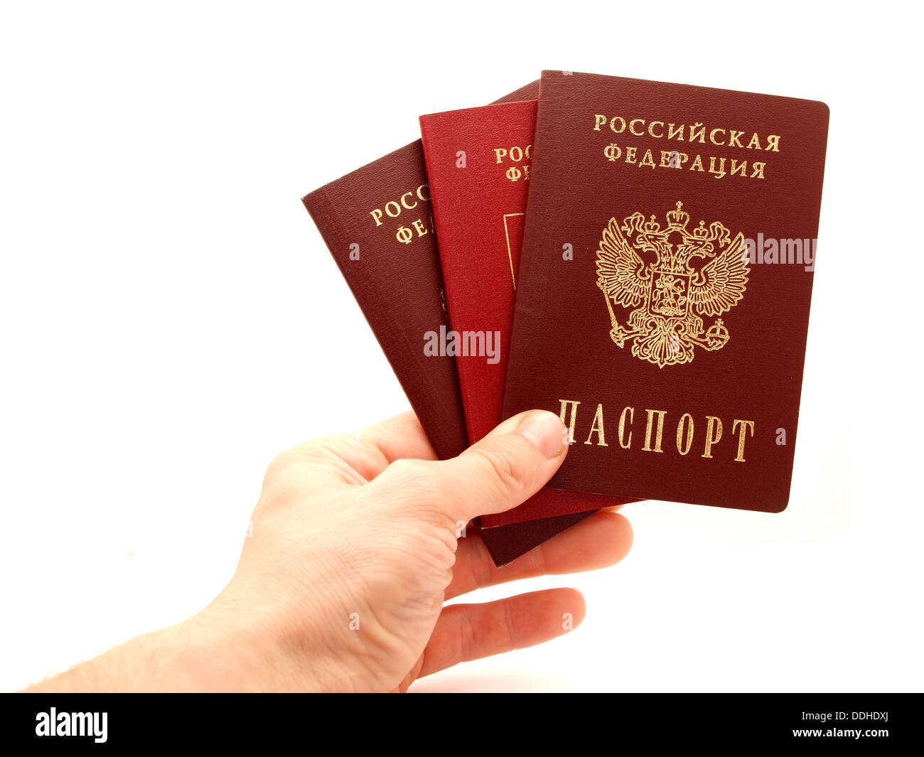 The passport in a hand on a white background Stock Photo - Alamy