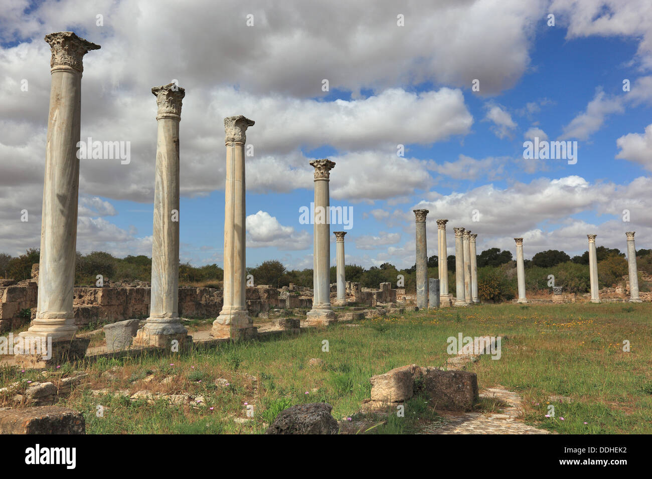 Ancient city of Salamis, Cyprus Stock Photo - Alamy