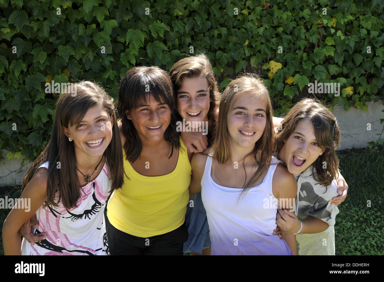 Five boards hi-res stock photography and images - Alamy