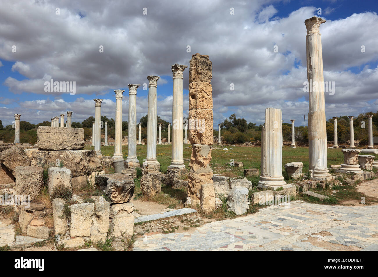 Ancient city of Salamis, Cyprus Stock Photo - Alamy