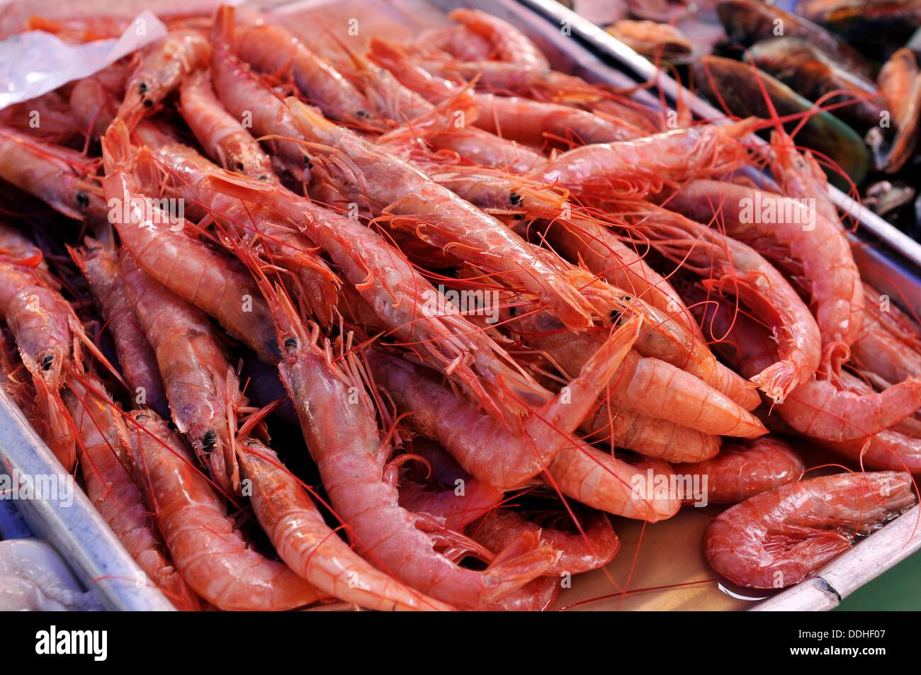 Pescado fresco hi-res stock photography and images - Alamy