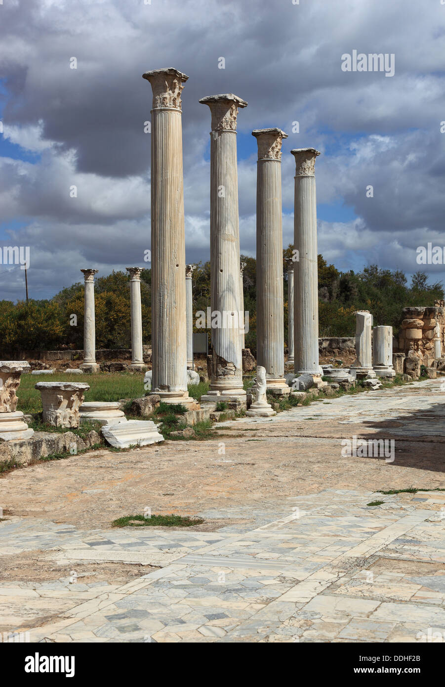 Ancient city of Salamis, Cyprus Stock Photo - Alamy