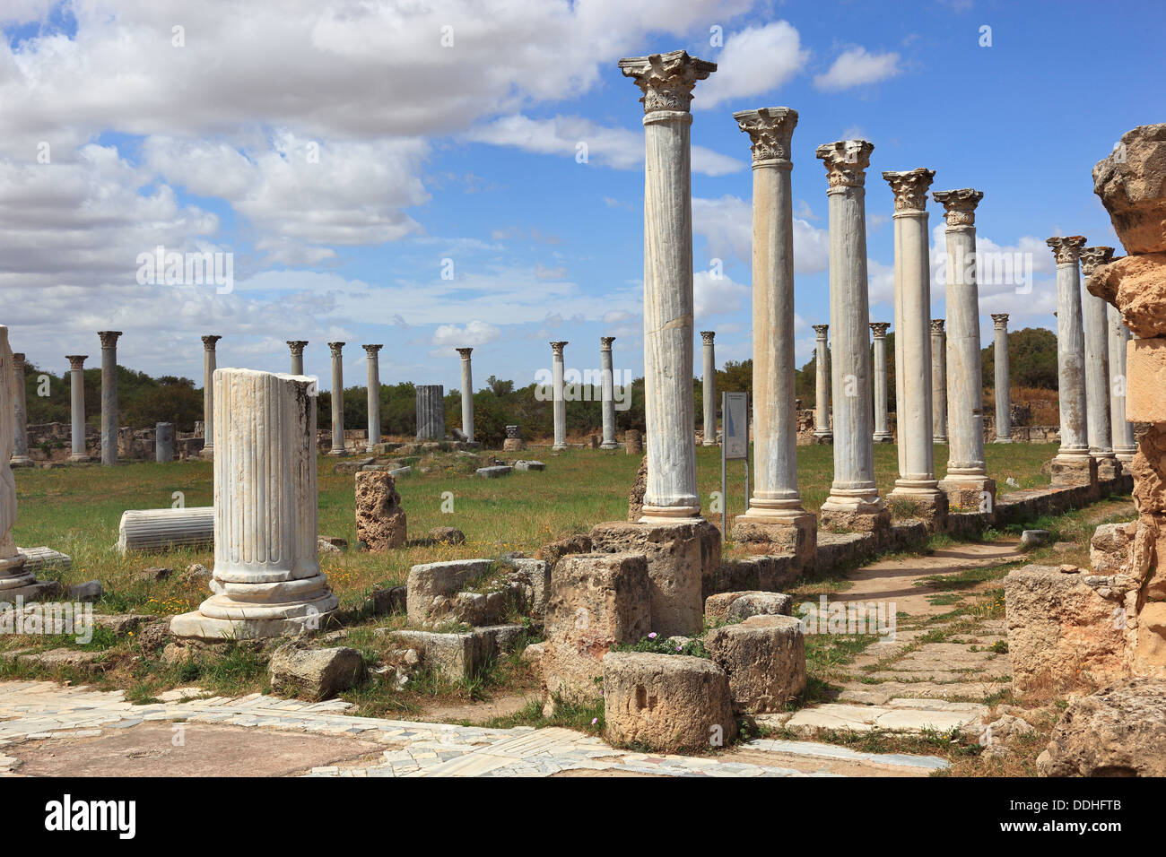 Ancient city of Salamis, Cyprus Stock Photo - Alamy