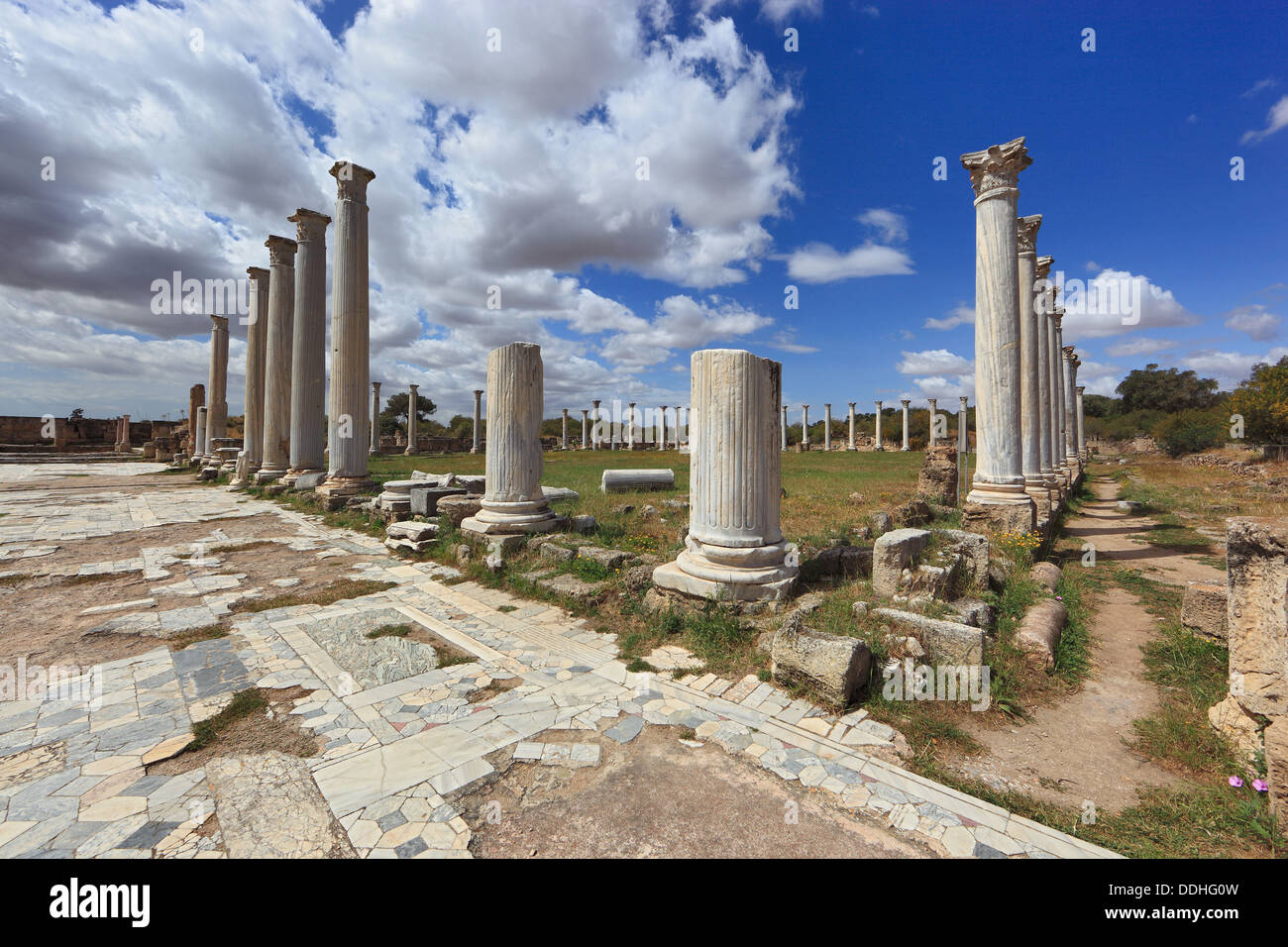 Ancient city of Salamis, Cyprus Stock Photo - Alamy
