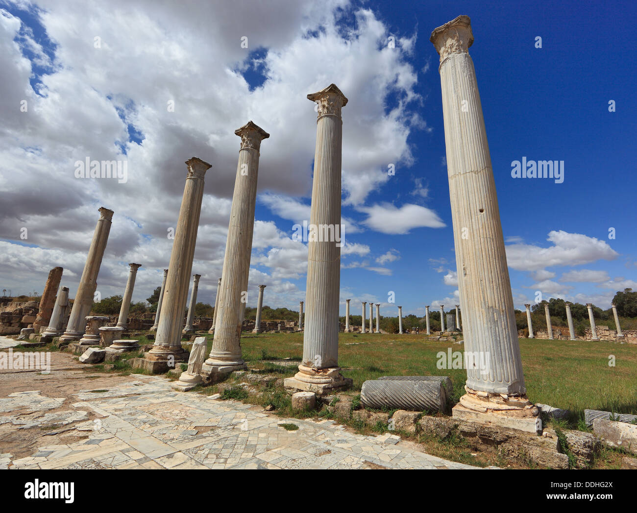 Ancient city of Salamis, Cyprus Stock Photo - Alamy