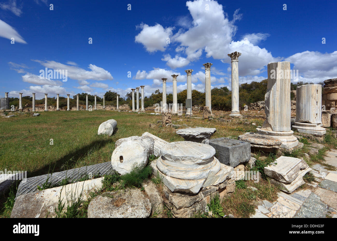 Ancient city of Salamis, Cyprus Stock Photo - Alamy