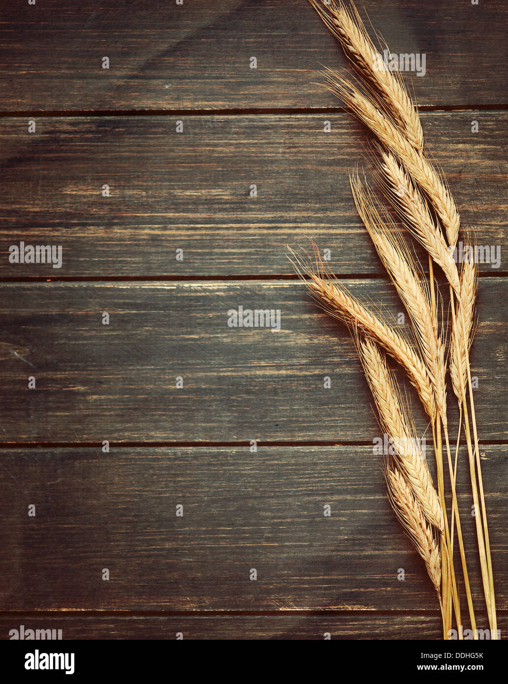 Textured rustic old vintage wheat frame background Stock Photo - Alamy
