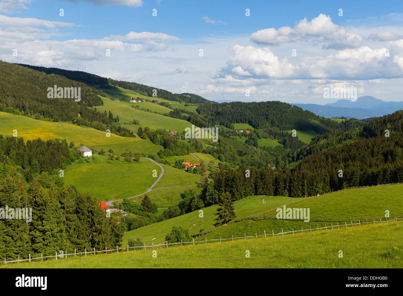 Cultivated forests hi-res stock photography and images - Alamy
