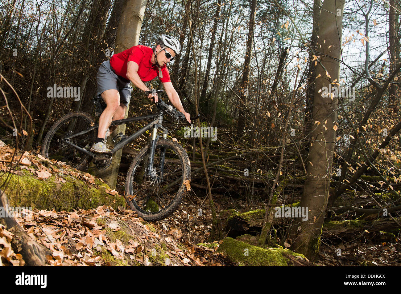 Cyclist on a mountainbike riding through a forest Stock Photo - Alamy