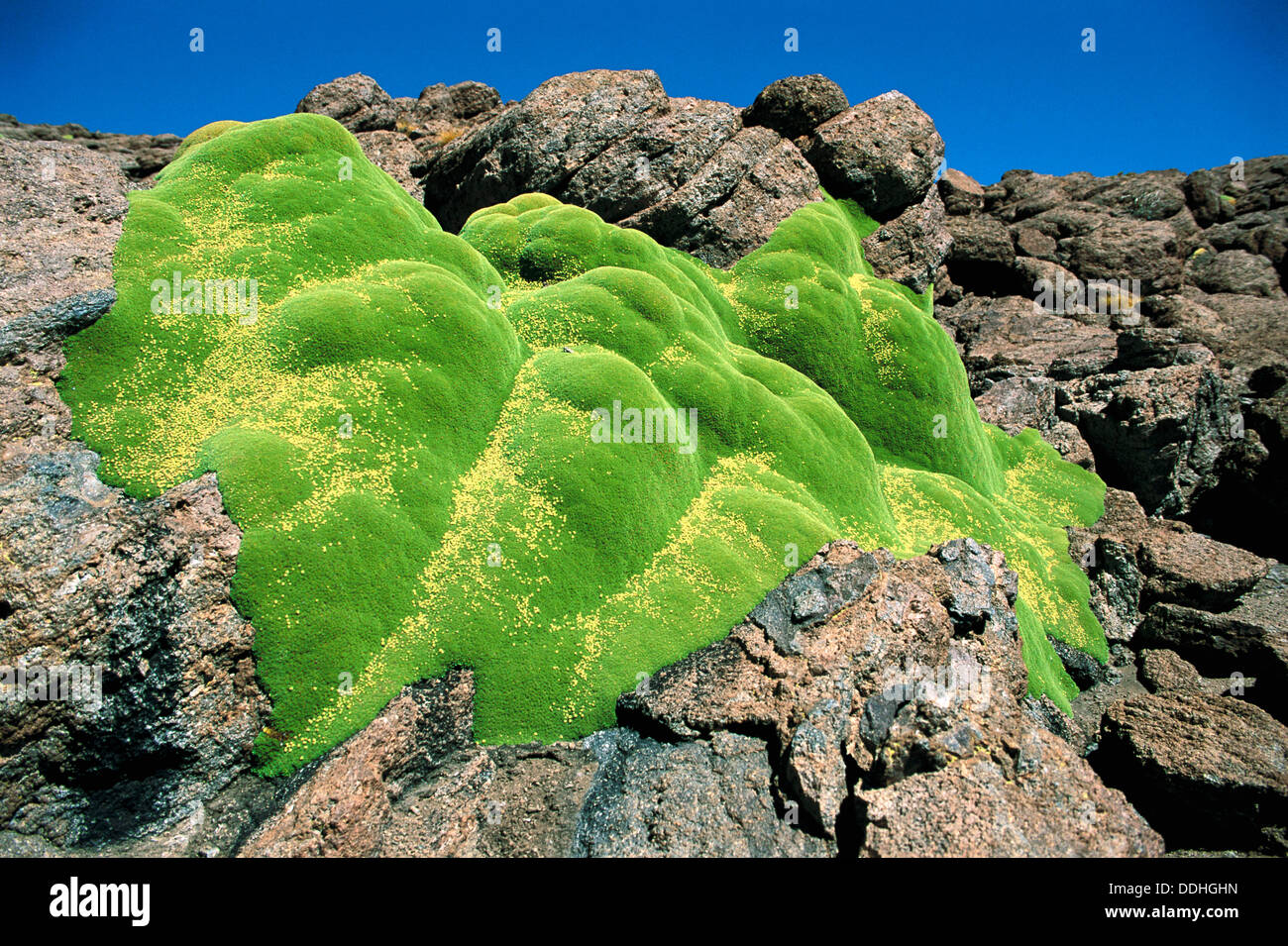 Southwestern andes hi-res stock photography and images - Alamy