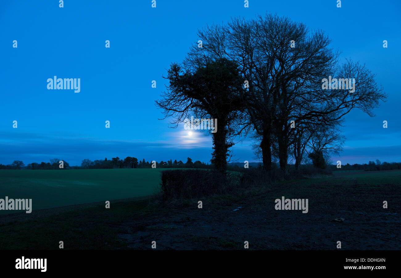 Moonrise night nighttime hi-res stock photography and images - Alamy